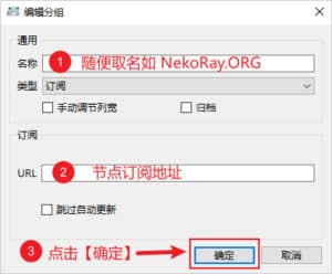 2025最新NekoRay使用教程配置从入门到精通