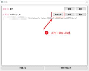 2026最新NekoRay使用教程配置从入门到精通